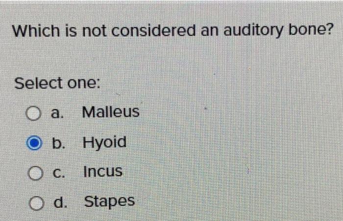 Solved What is the name of the shallow depression of the | Chegg.com