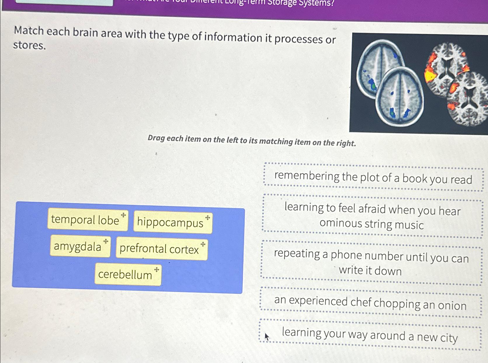 Solved Match each brain area with the type of information it | Chegg.com