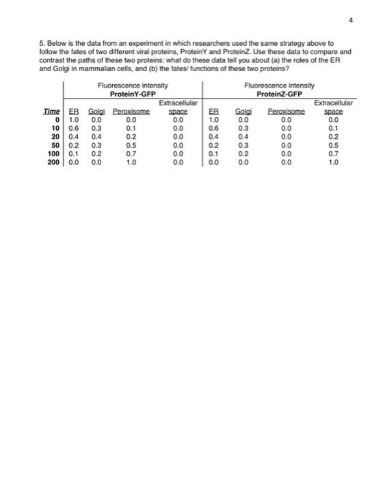 Solved Recitation \#6 Homework Name: BIOSC0150 Foundations I | Chegg.com