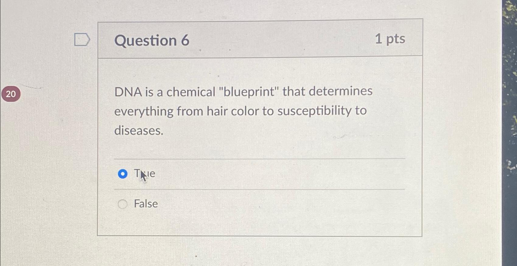 Solved Question 61 ﻿pts20DNA is a chemical "blueprint" that | Chegg.com