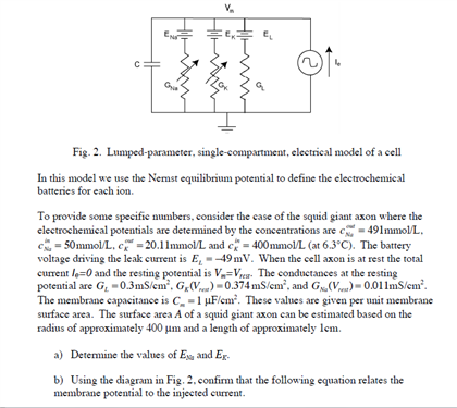 Space-Clamped Single Cell Passive Electrical | Chegg.com