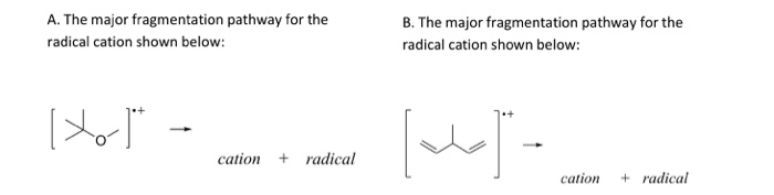 Solved A. The major fragmentation pathway for the radical | Chegg.com