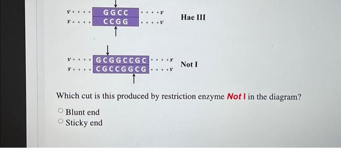 Solved Which cut is this produced by restriction enzyme Not | Chegg.com