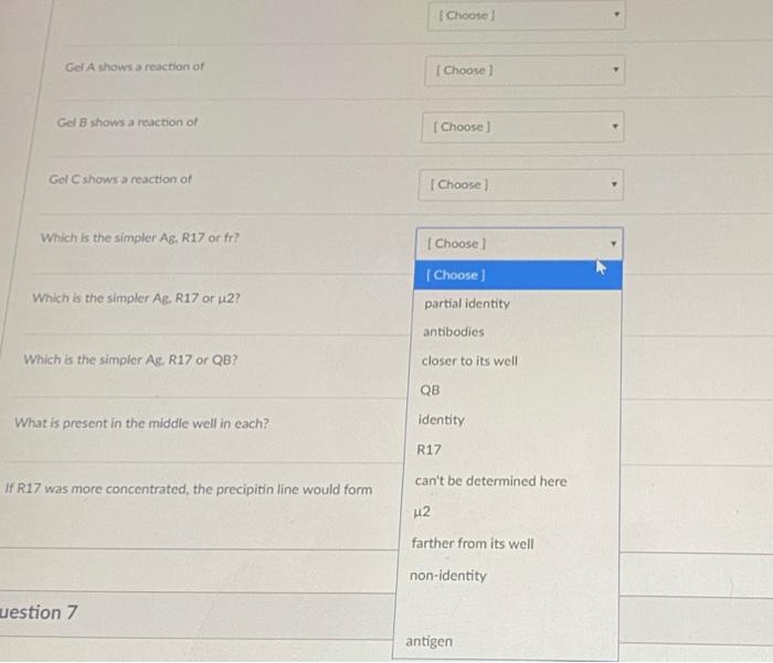 Solved R 17 ор R17 p2 R 17 B с А Choose) partial identity | Chegg.com
