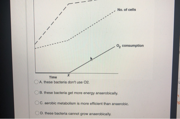 Solved The rates of O2 and glucose consumption by a | Chegg.com