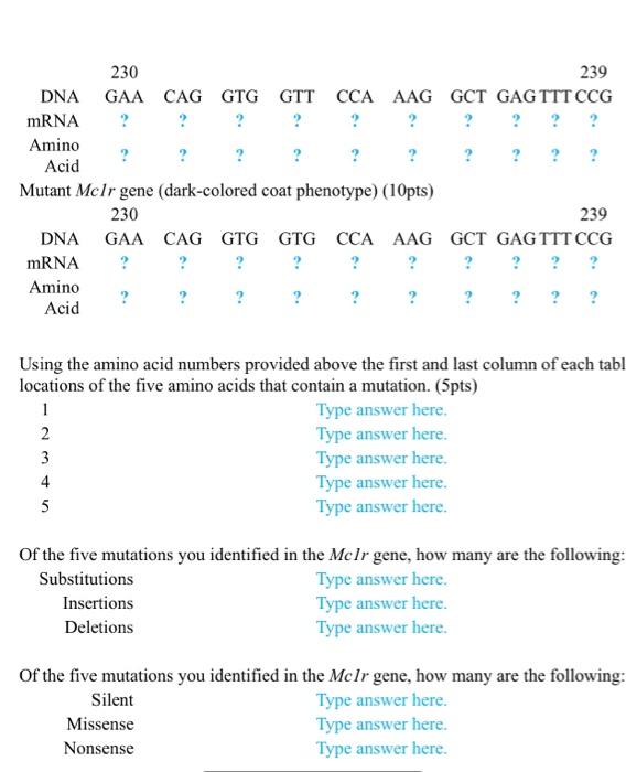 Solved 230 239 DNA GAA CAG GTG GTT CCA AAG GCT GAG TTT CCG | Chegg.com