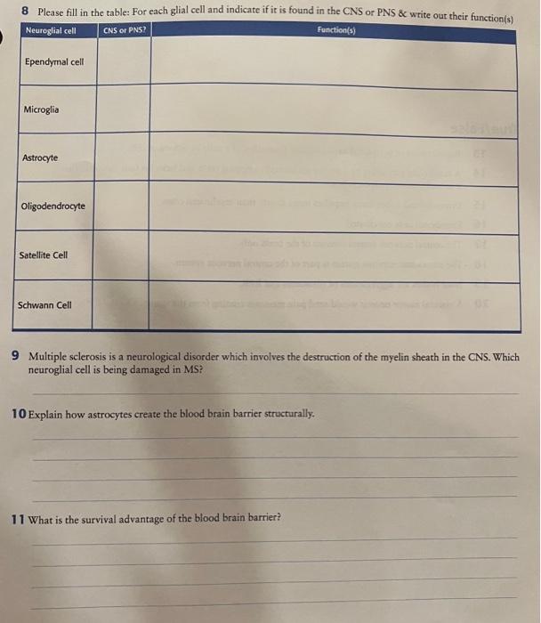 Solved 8. Neuroglial cell and CNS or PNS? and function9-11 | Chegg.com