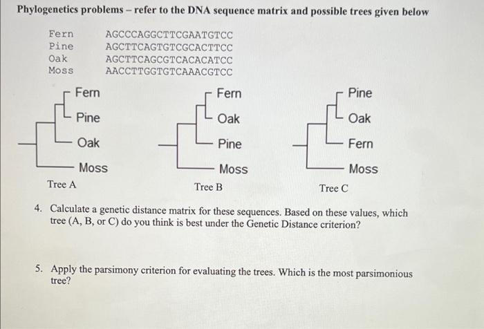 Solved Phylogenetics problems - refer to the DNA sequence | Chegg.com
