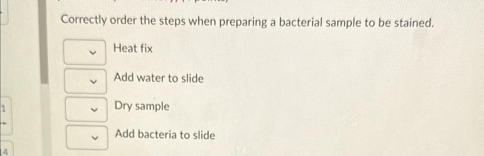 Solved Correctly order the steps when preparing a bacterial | Chegg.com