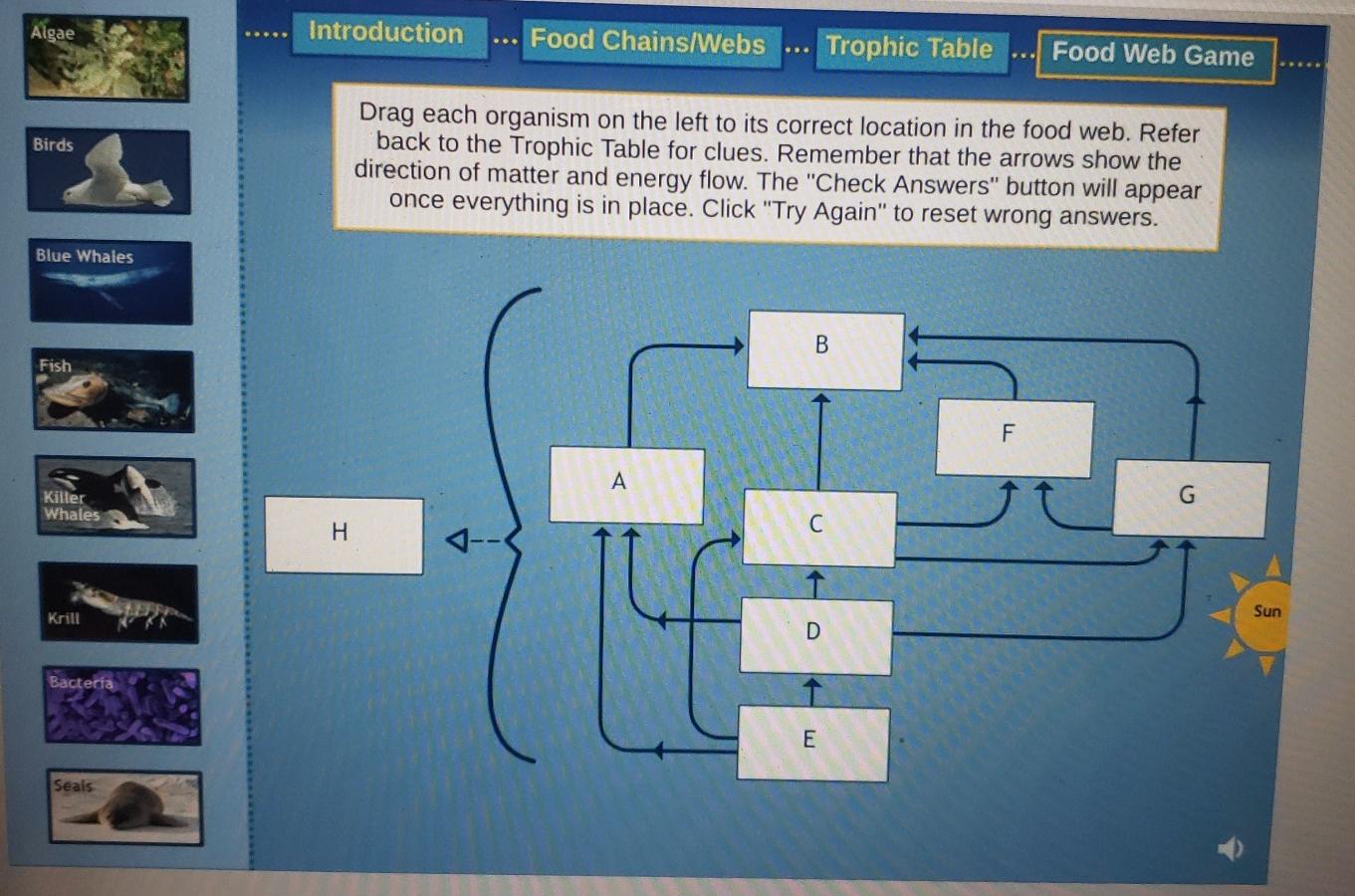 Solved Algae Introduction Food Chains/Webs Trophic Table | Chegg.com