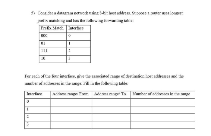 Solved 5) Consider a datagram network using 8-bit host | Chegg.com