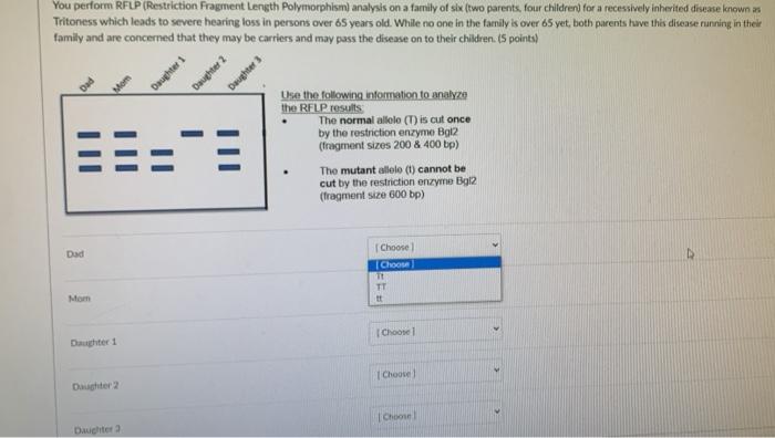 Solved You perform RFLP (Restriction Fragment Length | Chegg.com