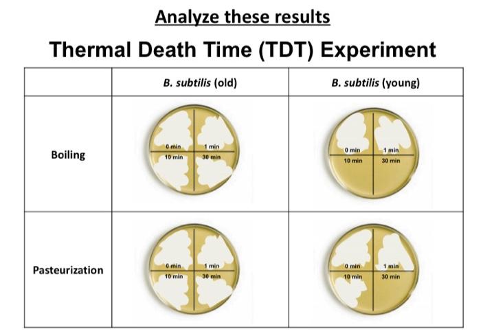 Solved Analyze these results Thermal Death Time (TDT) | Chegg.com