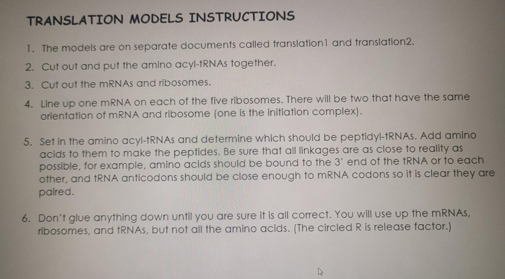 Solved TRANSLATION MODELS INSTRUCTIONS 1. The models are on | Chegg.com