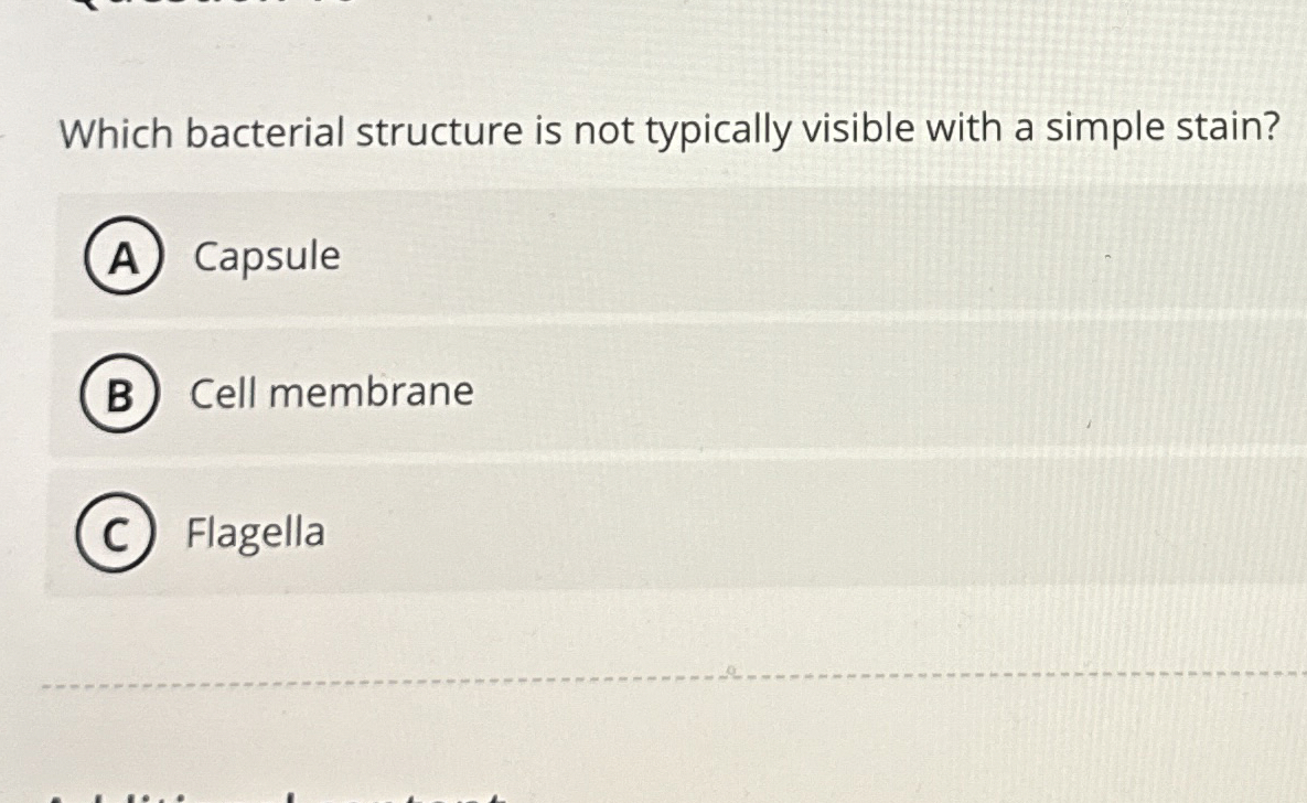 Solved Which bacterial structure is not typically visible | Chegg.com