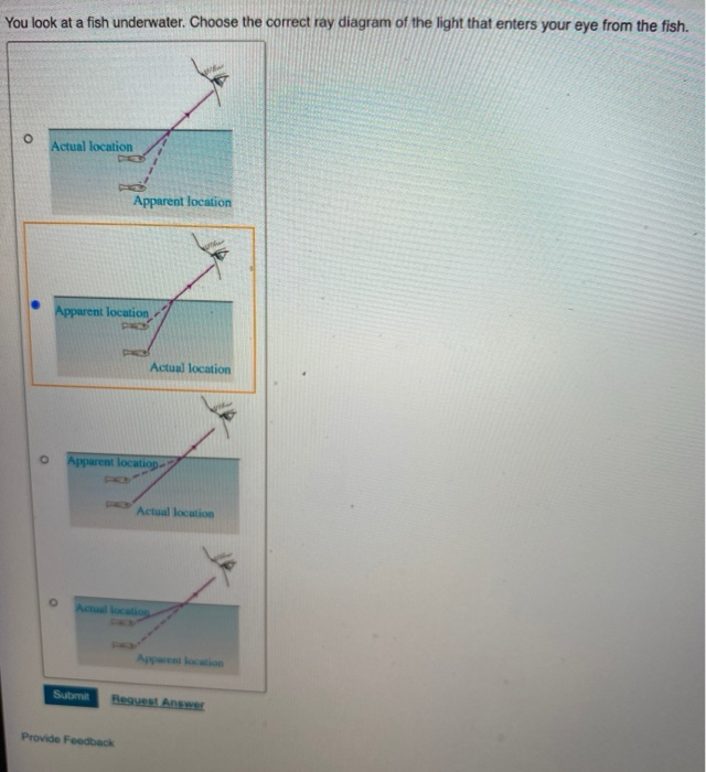 Solved you look at a fish underwater. choose the correct ray | Chegg.com