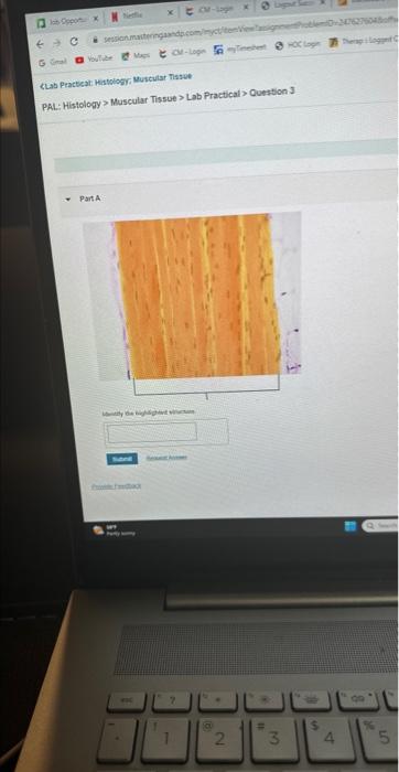 Solved kLab Practeat Honologr: Muscular nasue PAL: Histology | Chegg.com