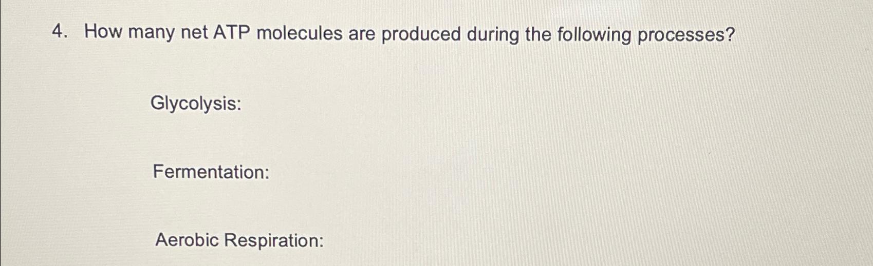 Solved How many net ATP molecules are produced during the | Chegg.com