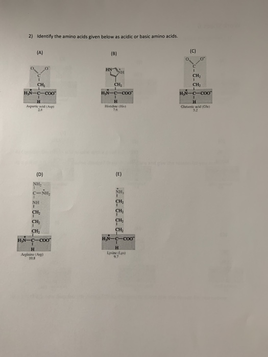 Solved Work Sheet 6 1) Identify the amino acids given below | Chegg.com