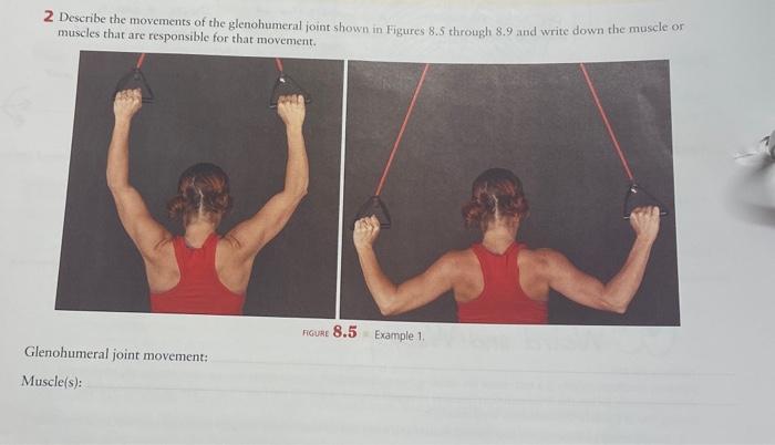 Solved 2 Describe the movements of the glenohumeral joint | Chegg.com