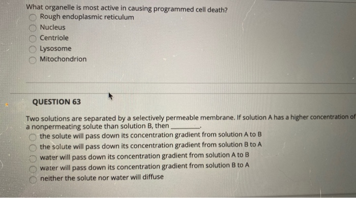 Solved What Organelle Is Most Active In Causing Programmed Chegg solved-what-organelle-is-most-active-in-causing-programmed-chegg