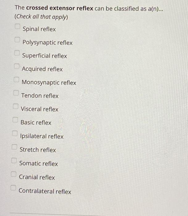 Solved The crossed extensor reflex can be classified as | Chegg.com