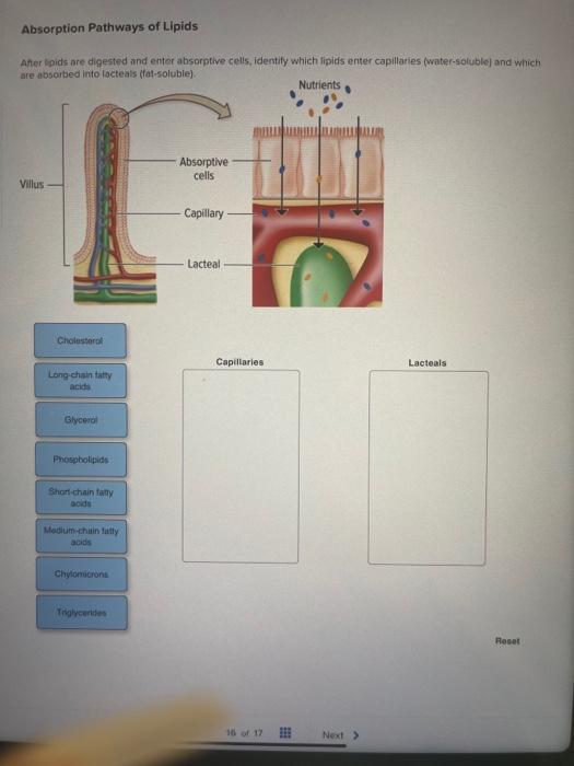 Solved Micronutrient Absorption Each of the following | Chegg.com