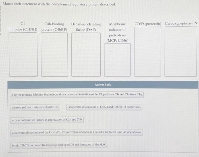 Solved Match each statement with the complement regulatory | Chegg.com