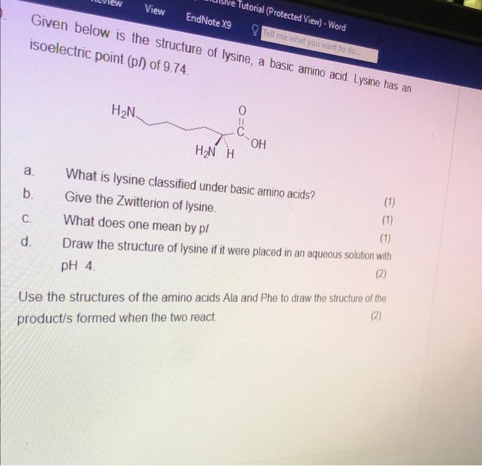 Solved Given below is the structure of lysine, a basic amino | Chegg.com