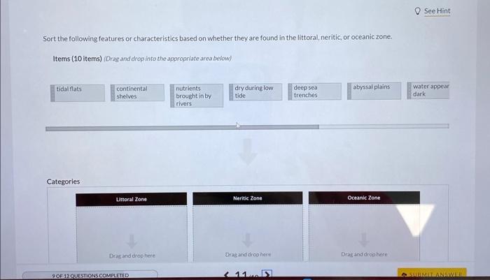 Solved The image above shows the global thermohaline | Chegg.com