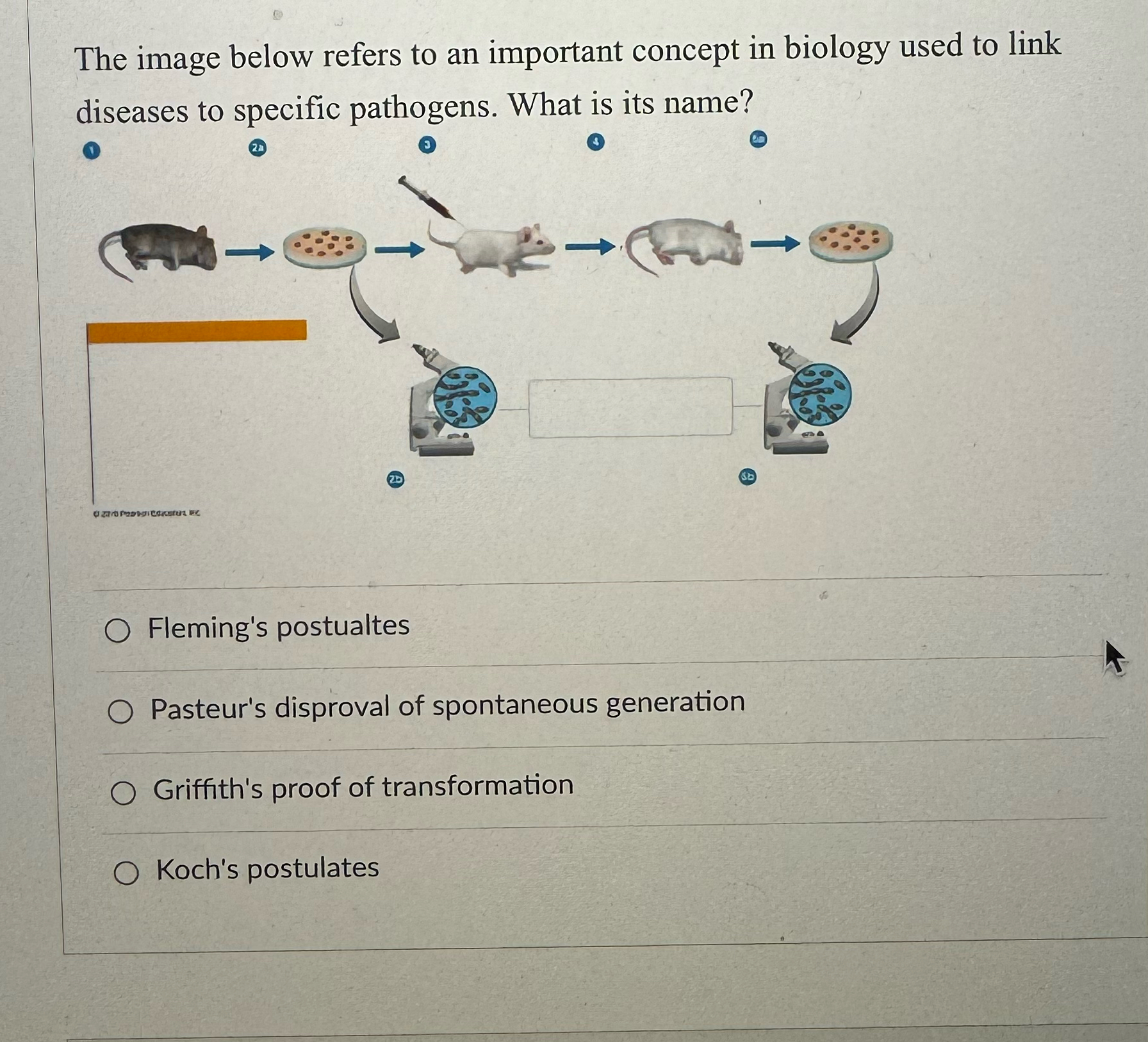 Solved The image below refers to an important concept in | Chegg.com