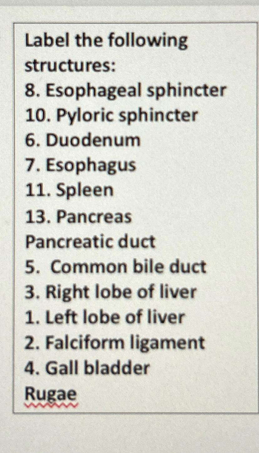 Solved Label the following structures:8. ﻿Esophageal | Chegg.com