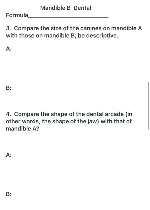 Solved 1. What is the dental formula of mandible A below: | Chegg.com