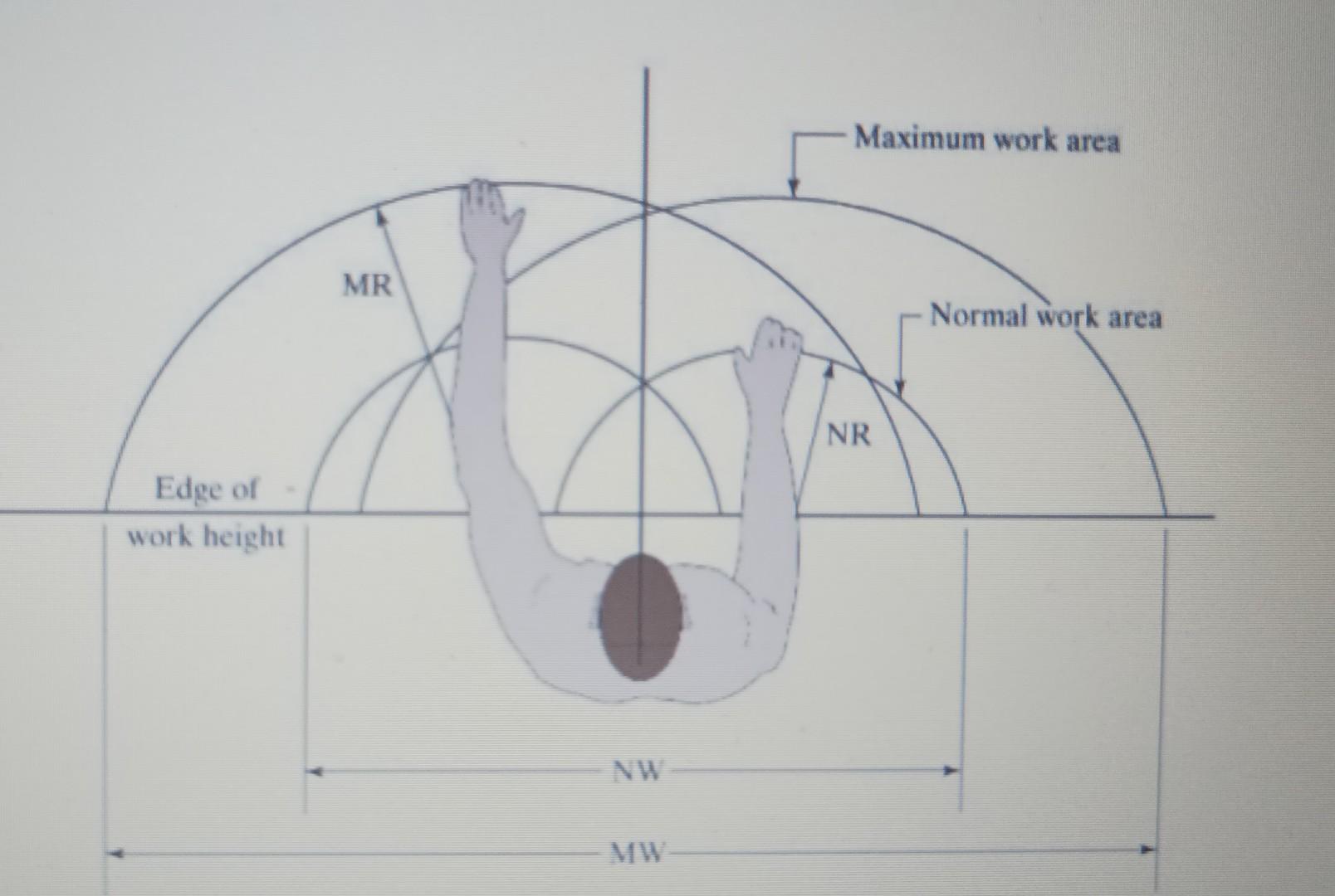 Make a work area with dimensions of bread dipping in | Chegg.com