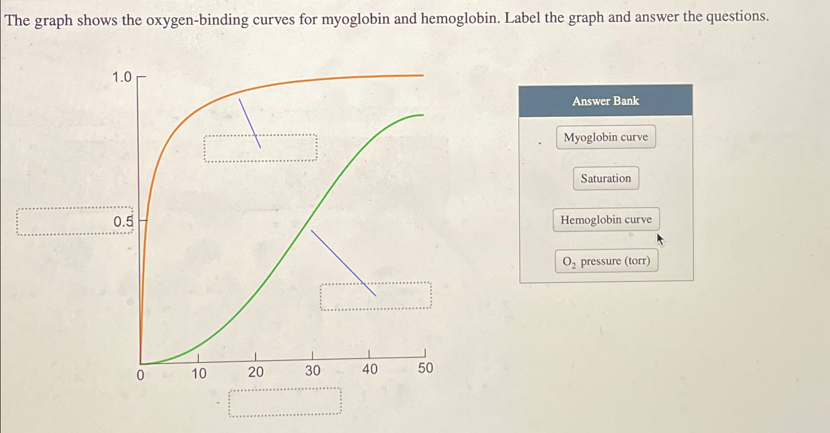 Solved The graph shows the oxygen-binding curves for | Chegg.com