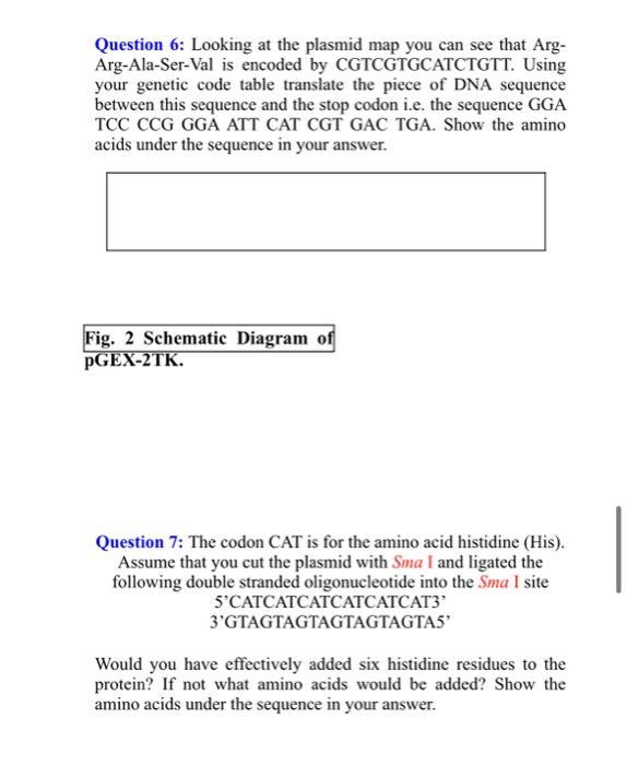 Solved Question 1: The first codon is ATG and codes for Met. | Chegg.com
