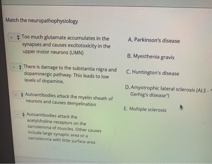 Solved Match the neuropathophysiology - A. Parkinson's | Chegg.com