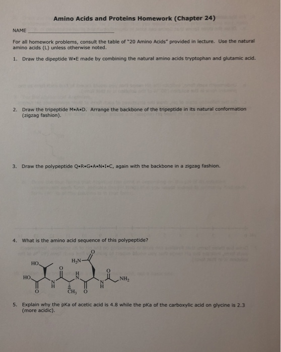 Solved Amino Acids and Proteins Homework (Chapter 24) NAME | Chegg.com