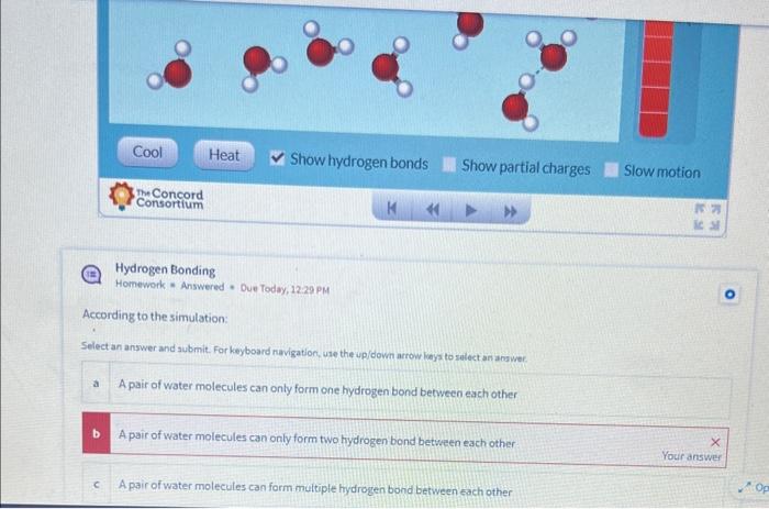 Solved Hydrogen Bonding Homework = Answered * Due Today, | Chegg.com