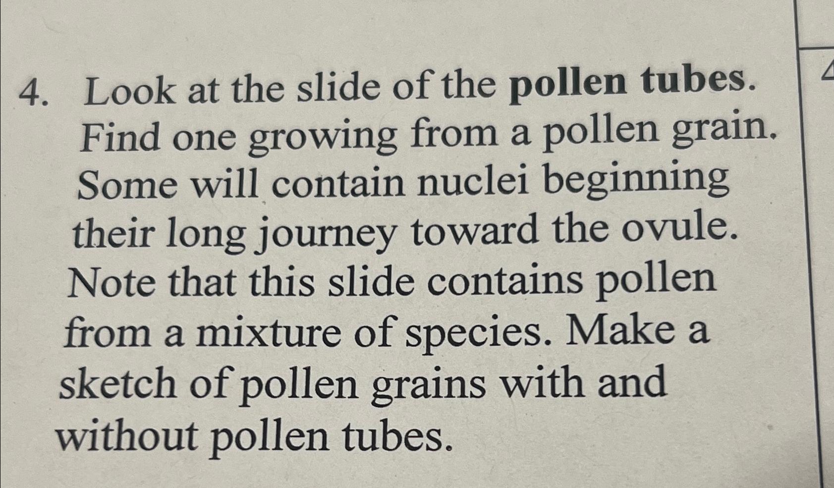 Solved Look at the slide of the pollen tubes. Find one | Chegg.com