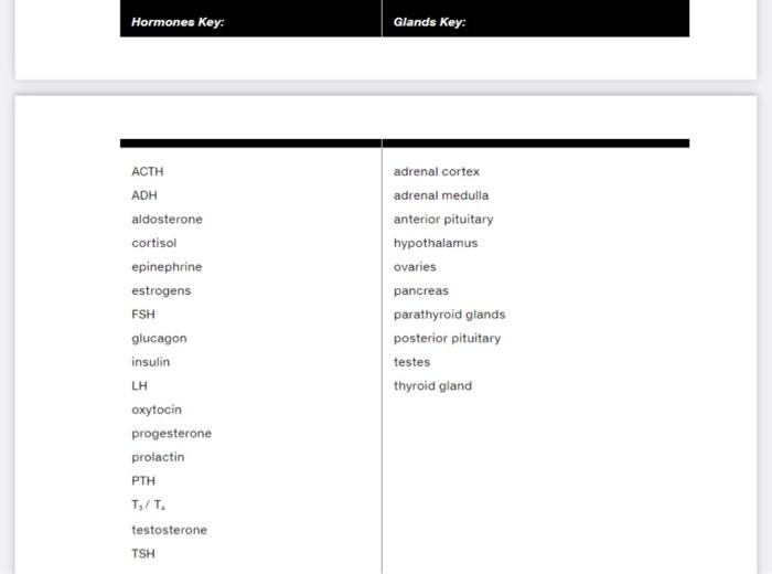 Solved Exercise 27: Functional Anatory of the Endocrine | Chegg.com Solved Exercise 27: Functional Anatory of the Endocrine | Chegg.com