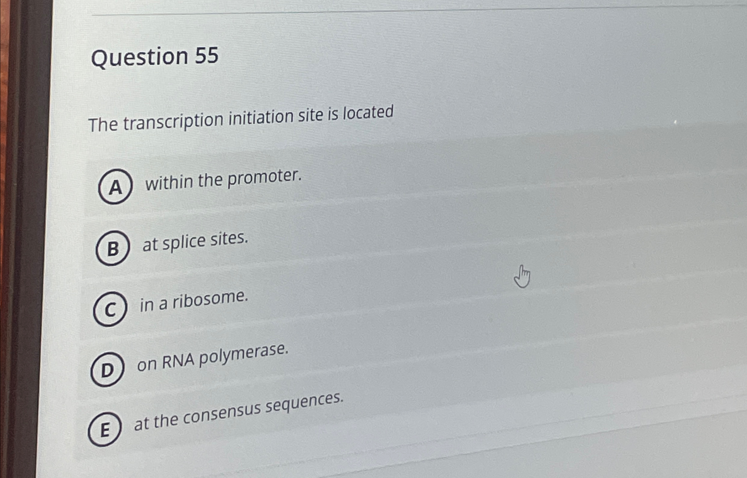 Solved Question 55The transcription initiation site is | Chegg.com
