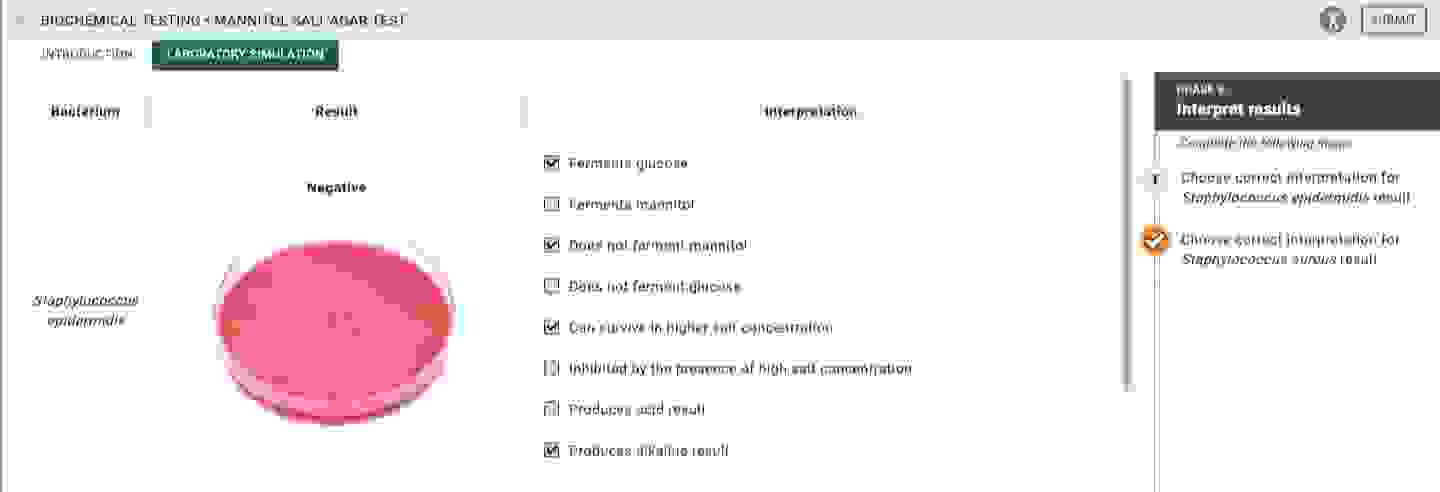 Solved Choose correct interpretation for Staphylococcus | Chegg.com Solved Choose correct interpretation for Staphylococcus | Chegg.com