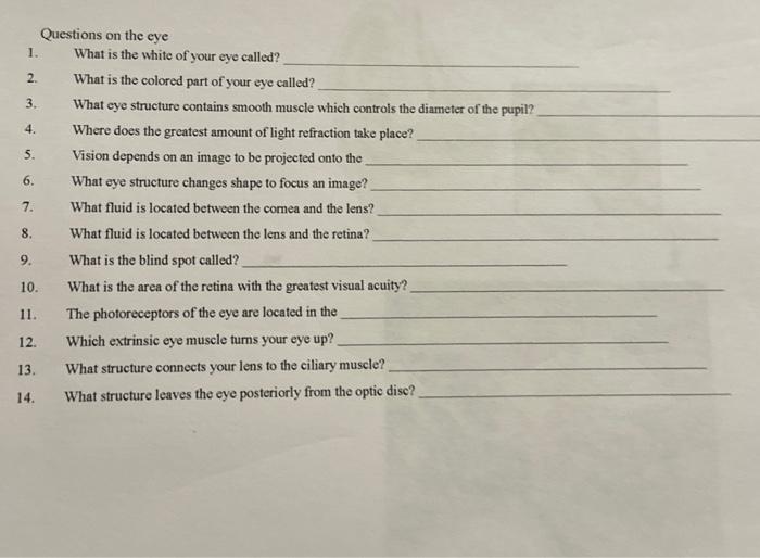 Solved Questions on the eye 1. What is the white of your eye | Chegg.com