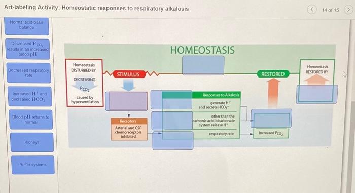 Solved HOMEOSTASIS Homeostasis DISTURBED BY Normal Na | Chegg.com