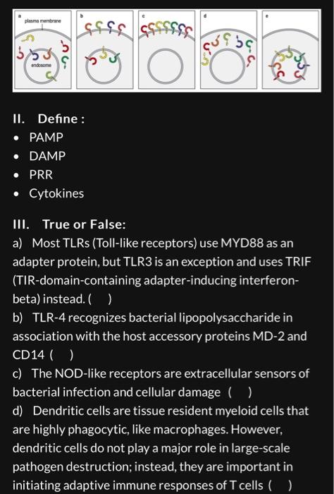 Solved 1. The TLR9 pattern recognition receptor recognizes: | Chegg.com