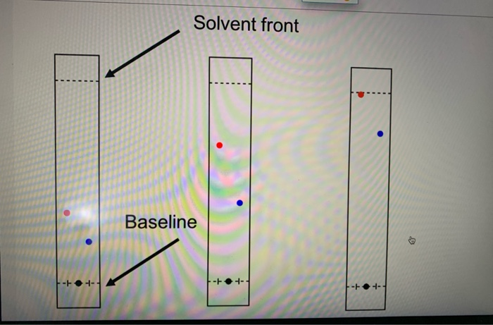 Solved Solvent front Baseline Solvent front Baseline FE - | Chegg.com