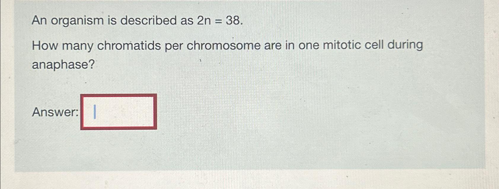 Solved An organism is described as 2n=38.How many chromatids | Chegg.com