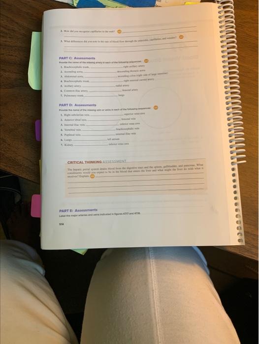 LABORATORY ASSESSMENT 47 Blood Vessel Structure, | Chegg.com