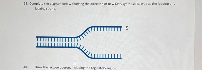 Solved 33. Complete the diagram below showing the direction | Chegg.com